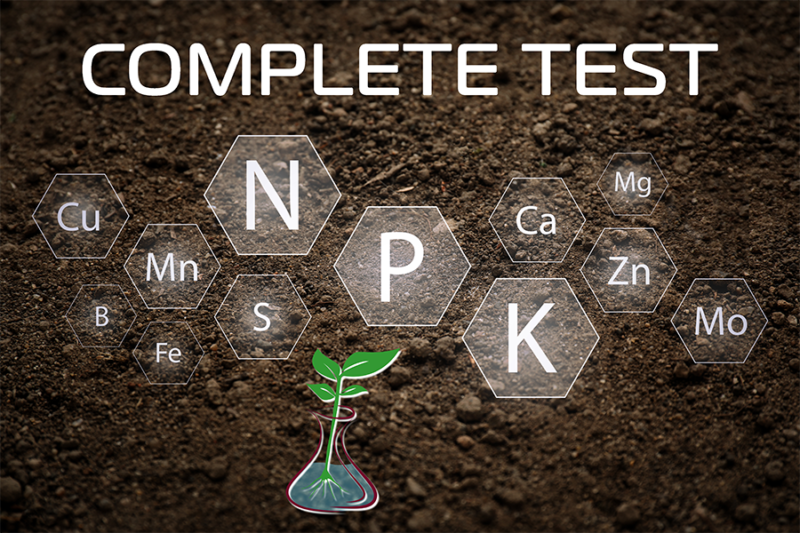 Complete Soil Nutrient Test – AgriTest