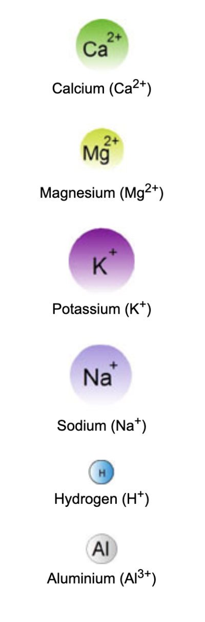 Exchangeable Cations – AgriTest